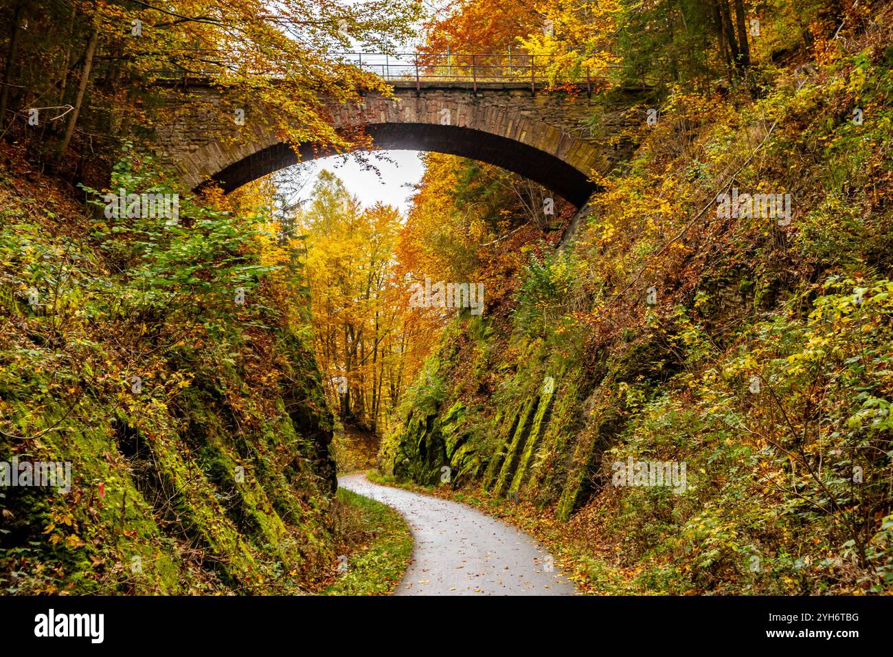 An autumn cycle tour through the Thuringian Forest on the Mommelstein ...