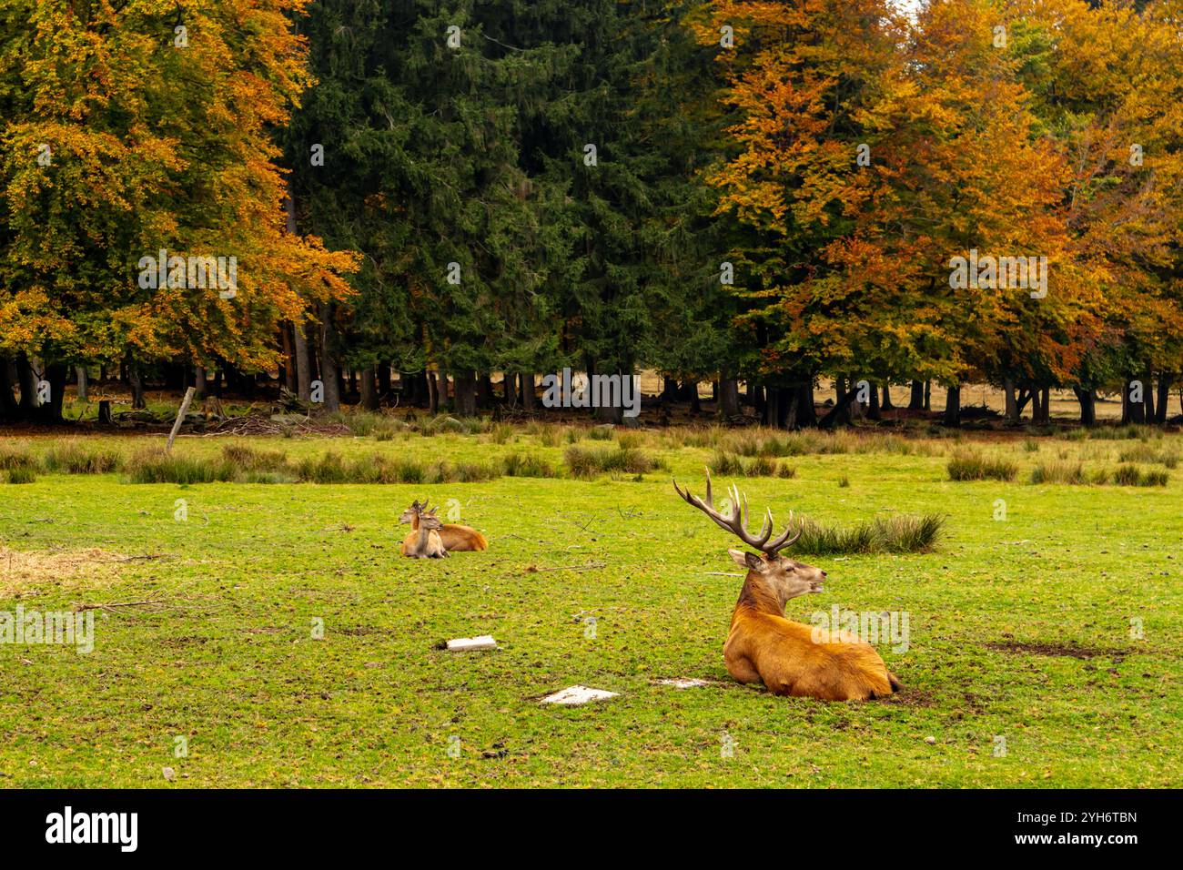 An autumn cycle tour through the Thuringian Forest on the Mommelstein ...