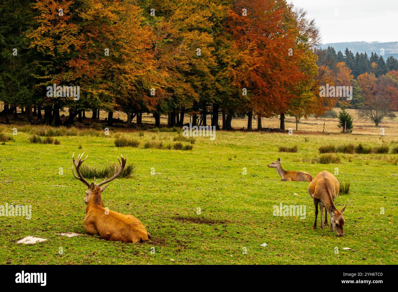 An autumn cycle tour through the Thuringian Forest on the Mommelstein ...