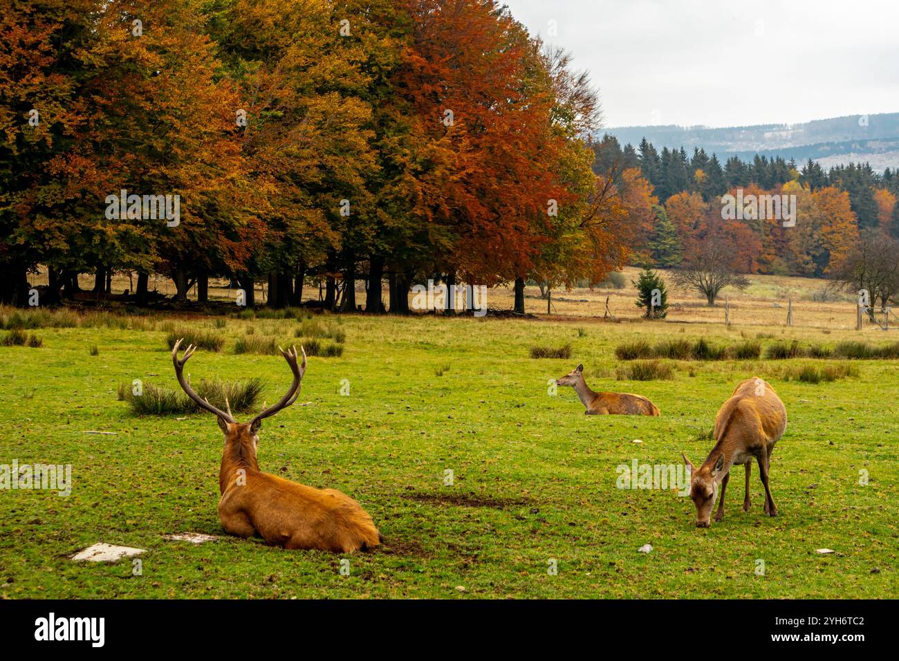 An autumn cycle tour through the Thuringian Forest on the Mommelstein ...
