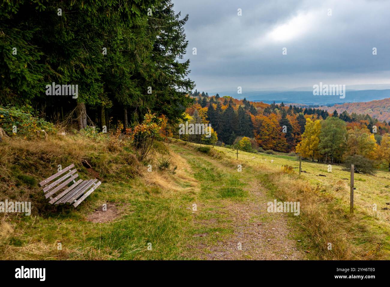 An autumn cycle tour through the Thuringian Forest on the Mommelstein ...