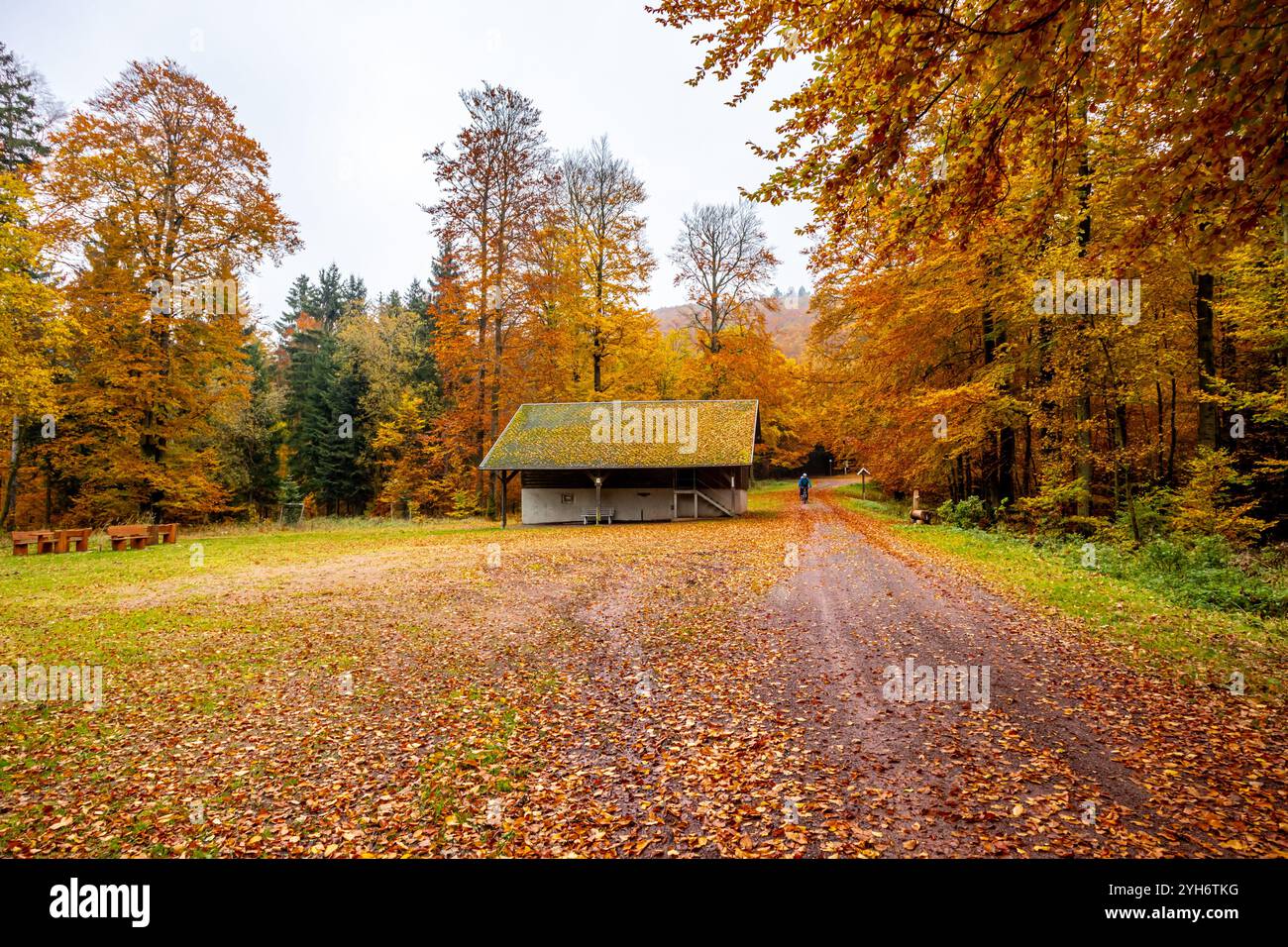 An autumn cycle tour through the Thuringian Forest on the Mommelstein ...