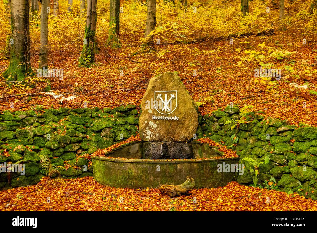 An autumn cycle tour through the Thuringian Forest on the Mommelstein ...