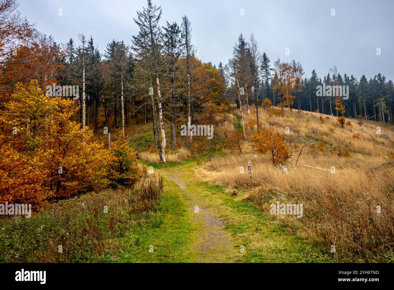 An autumn cycle tour through the Thuringian Forest on the Mommelstein ...