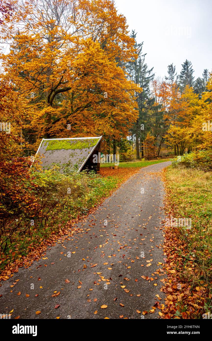 An autumn cycle tour through the Thuringian Forest on the Mommelstein ...