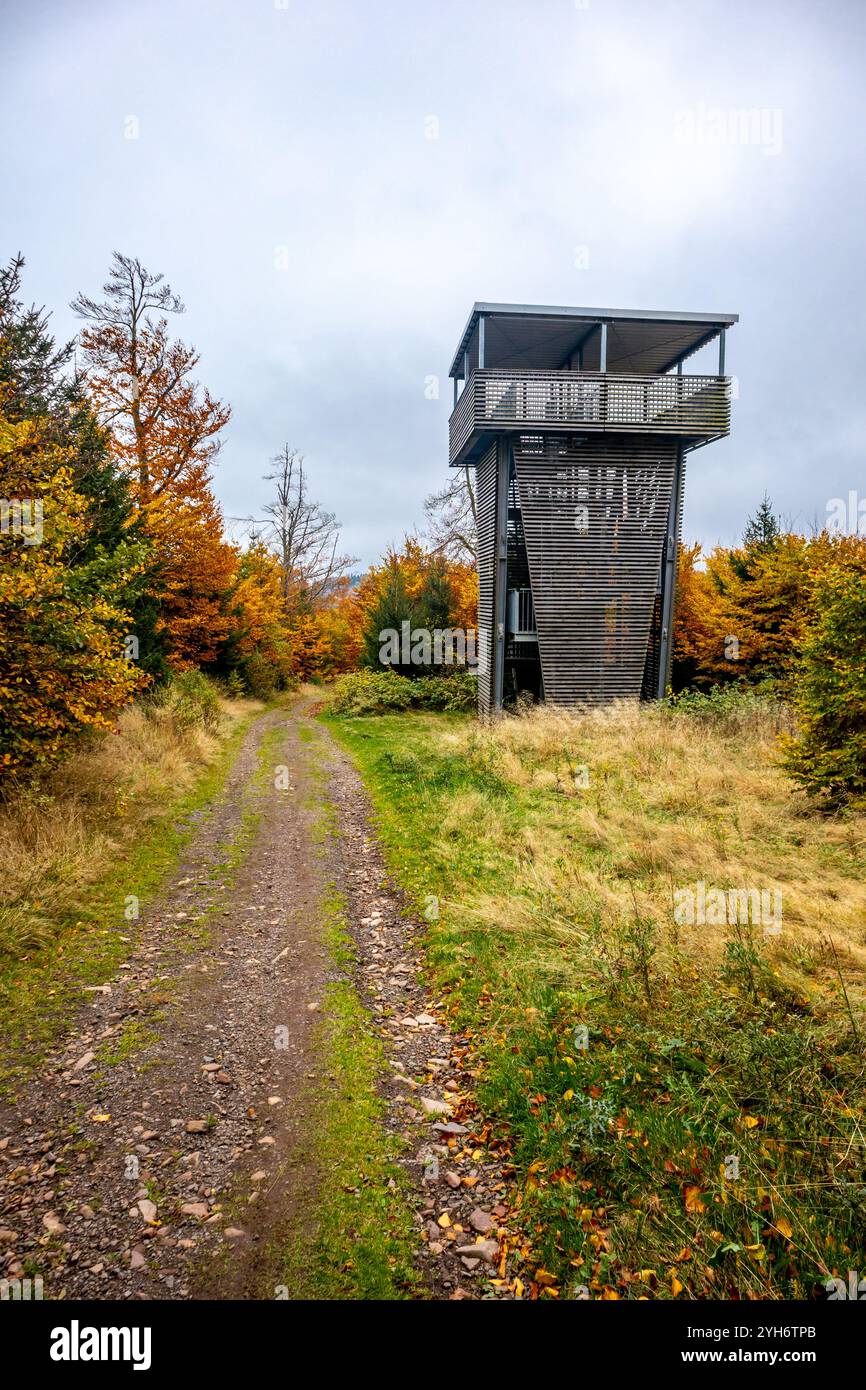 An autumn cycle tour through the Thuringian Forest on the Mommelstein ...