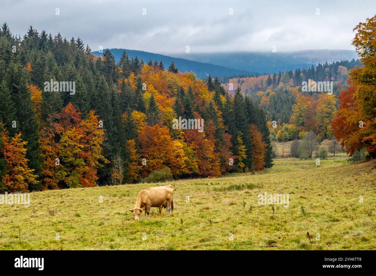 An autumn cycle tour through the Thuringian Forest on the Mommelstein ...