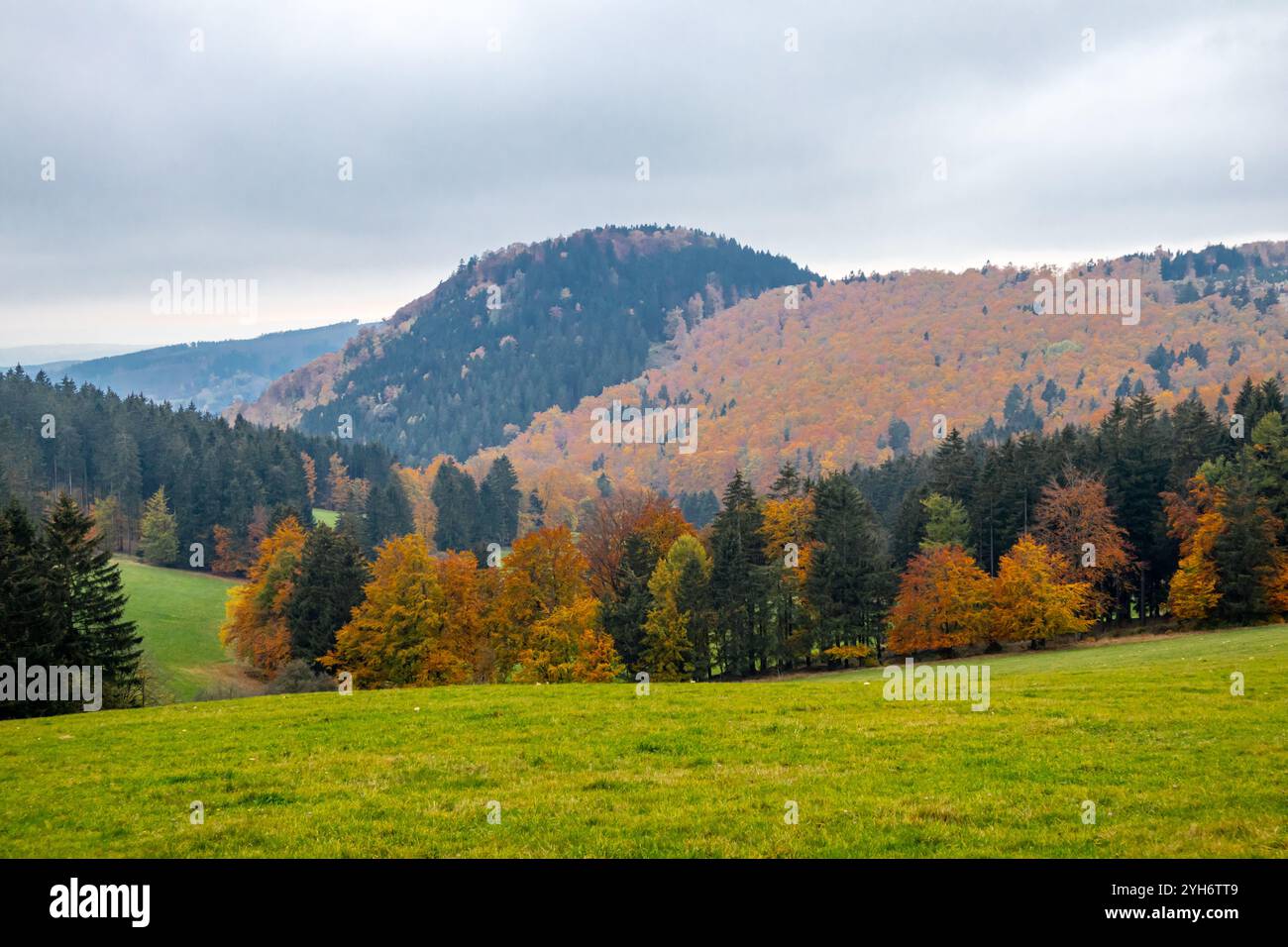 An autumn cycle tour through the Thuringian Forest on the Mommelstein ...