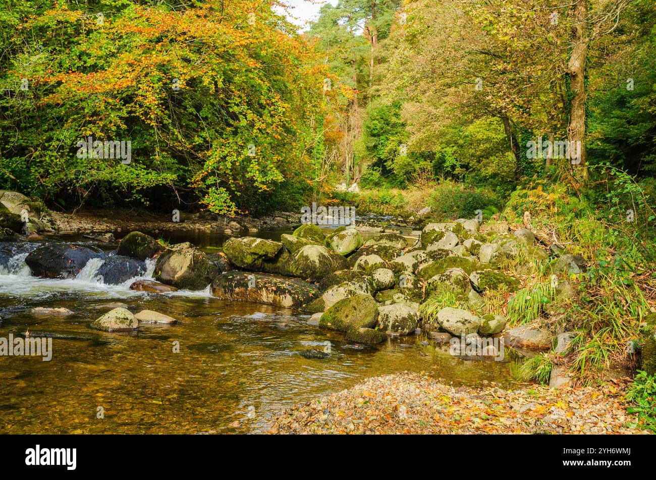 River flowing over moss covered rocks in Mourne Park County Down ...