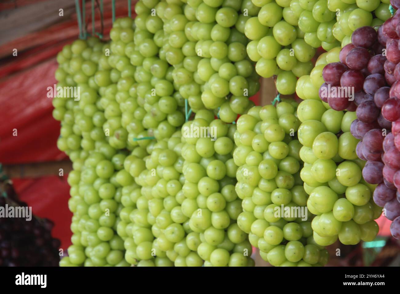 Grapes hang in the fruit shop Stock Photo - Alamy