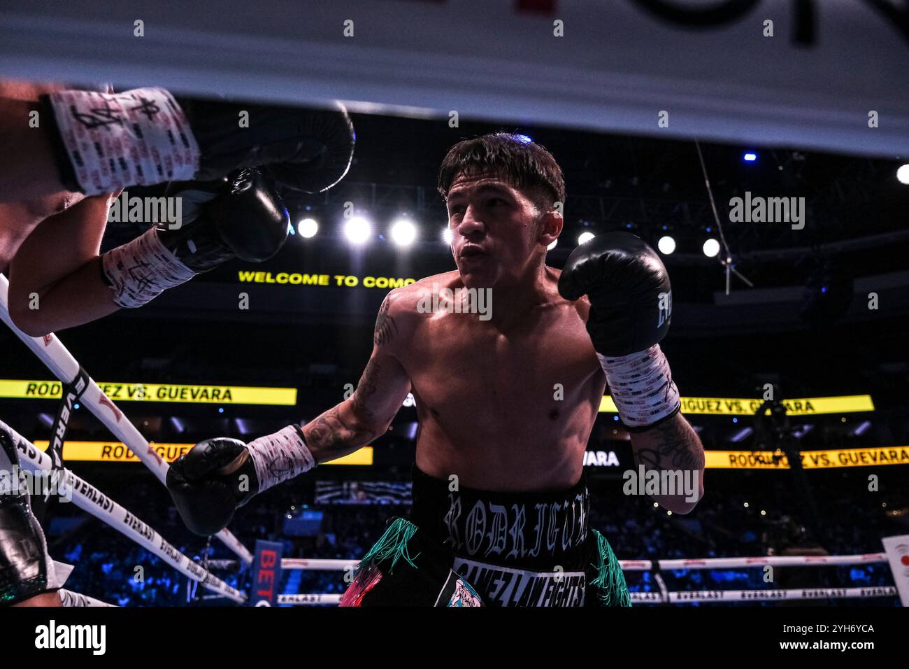 Jesse ennis hi-res stock photography and images - Alamy