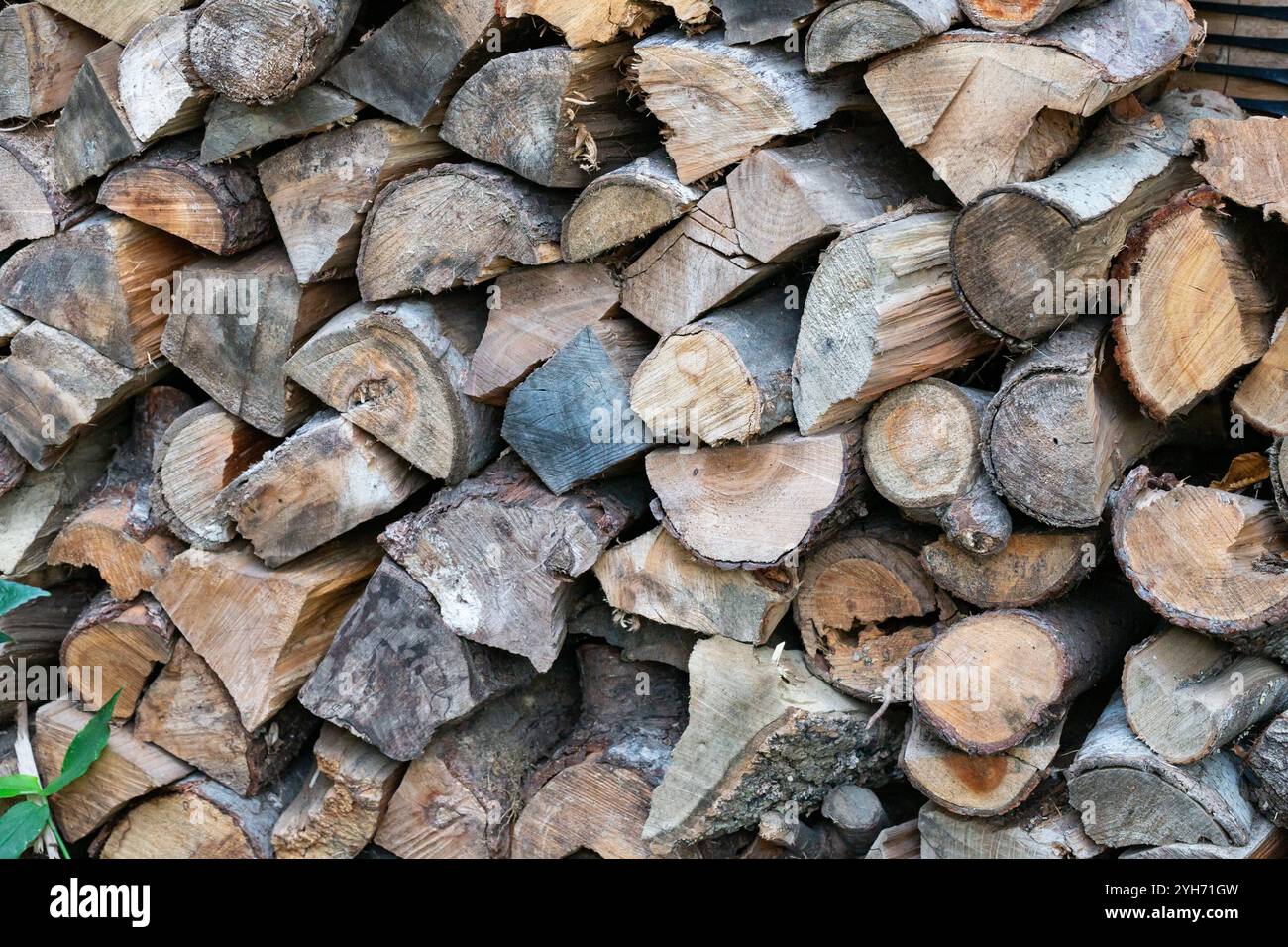 Wood. Fire Wood. Cut Fire wood for sale. Firewood cut and piled high ...