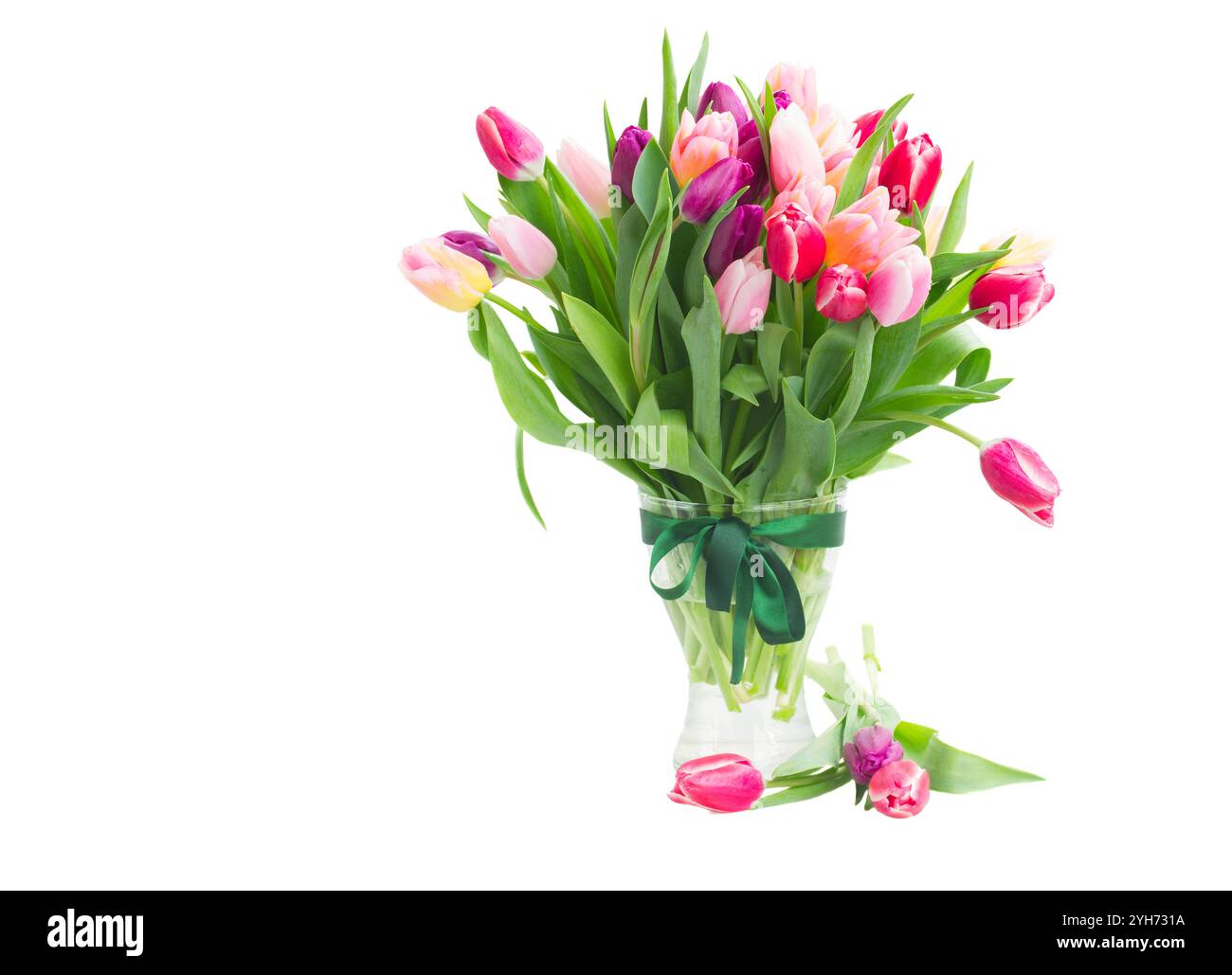 Pink tulips in light Cut Out Stock Images & Pictures - Alamy