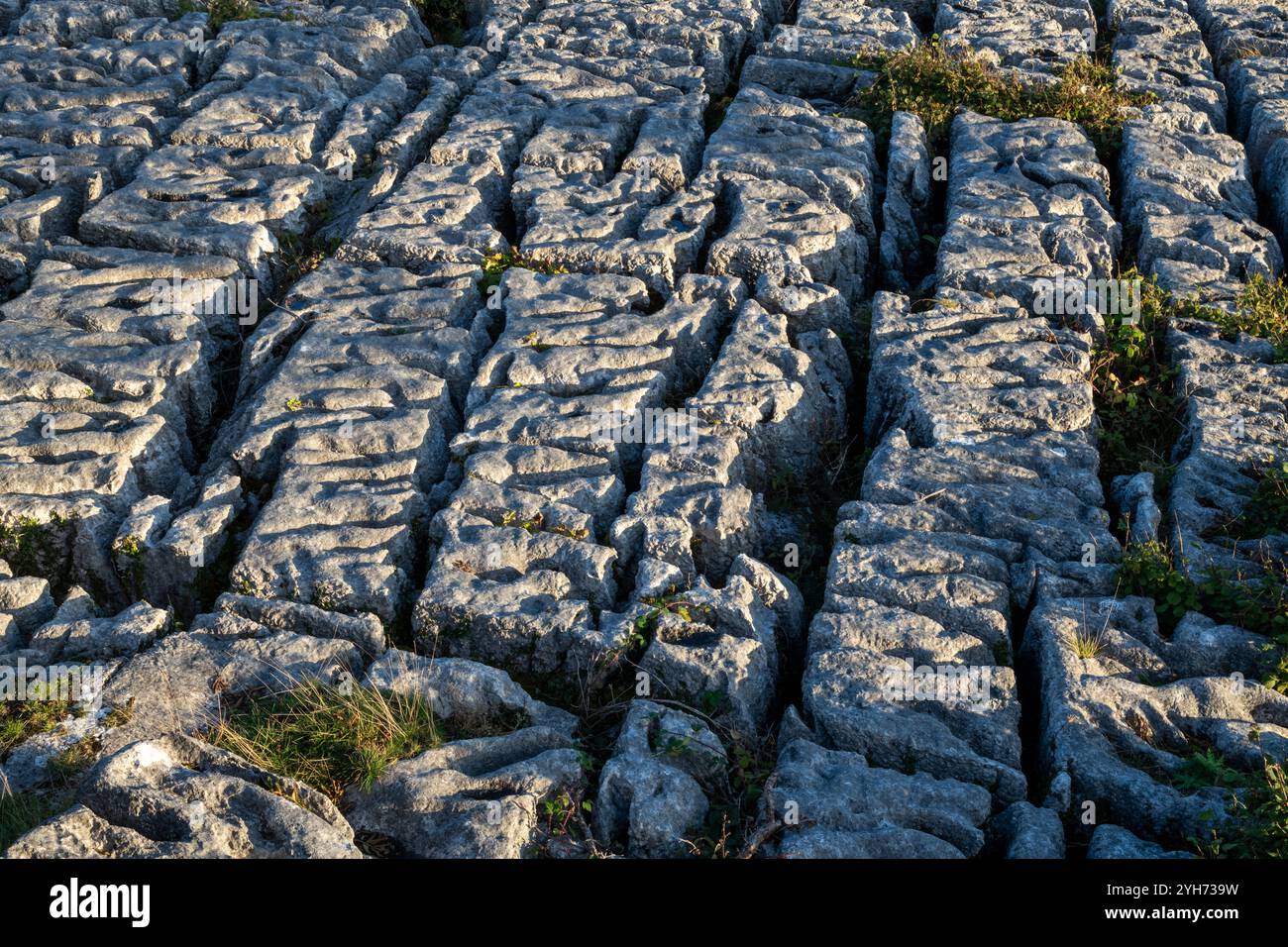 Cracked limestone hi-res stock photography and images - Alamy