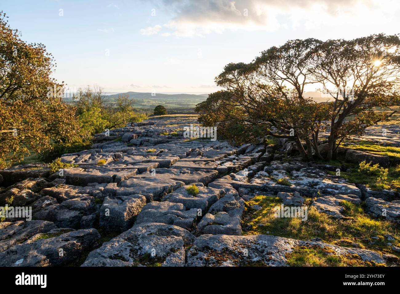 Area of limestone pavement at Newbiggin Crags near Burton-in-Kendal ...