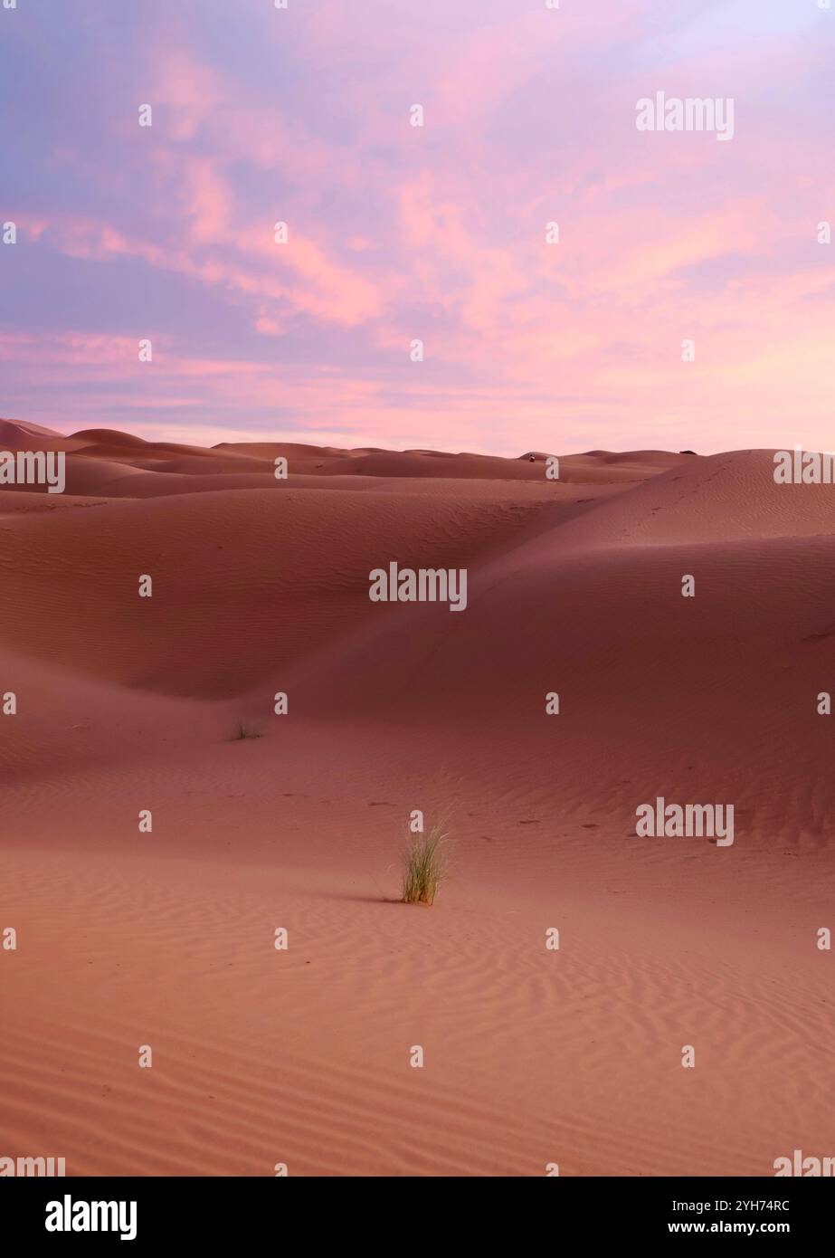 sunrise in sahara desert, Morocco Stock Photo - Alamy