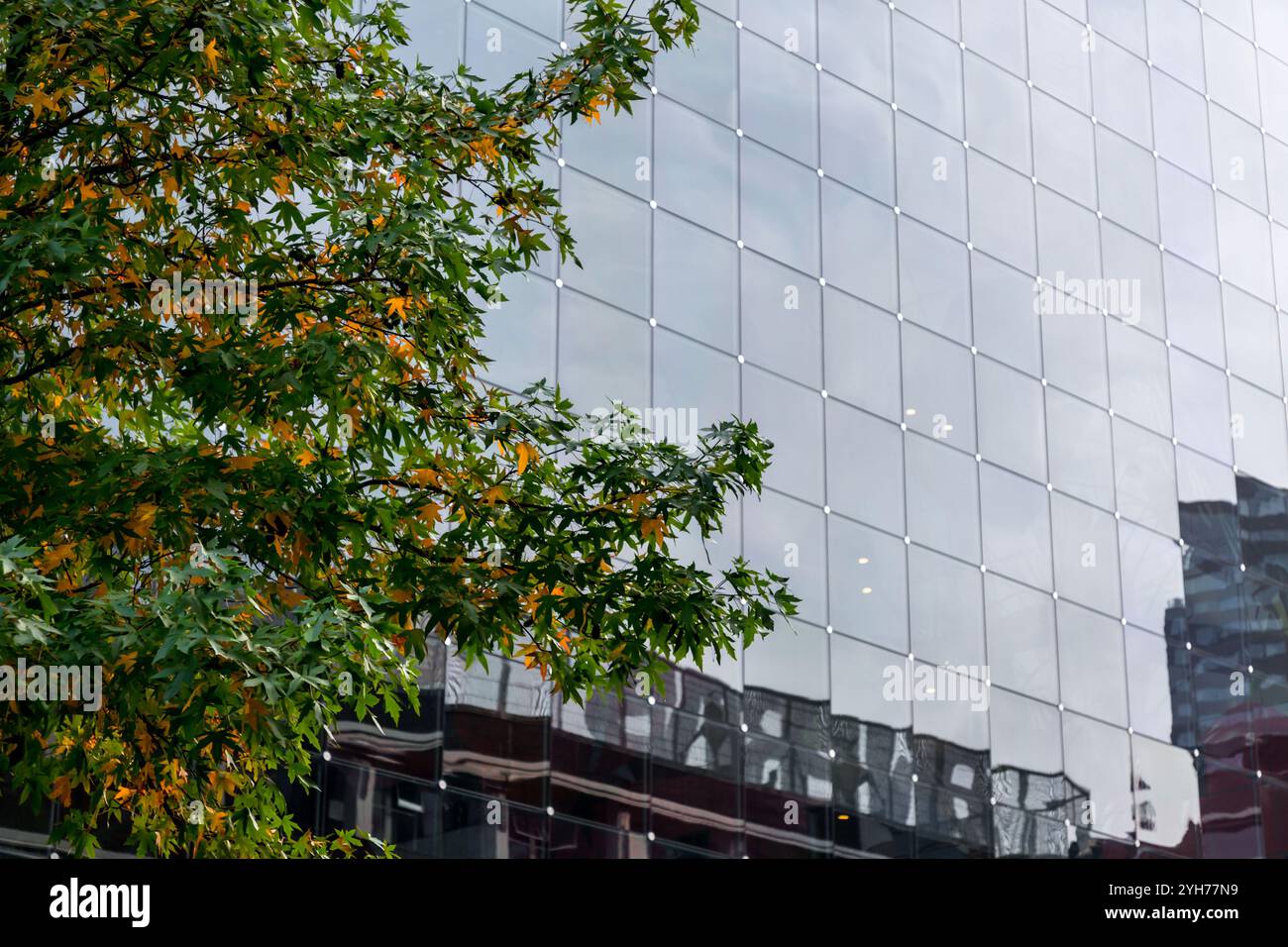 Building facade detail pattern with layers of windows, modern urban ...