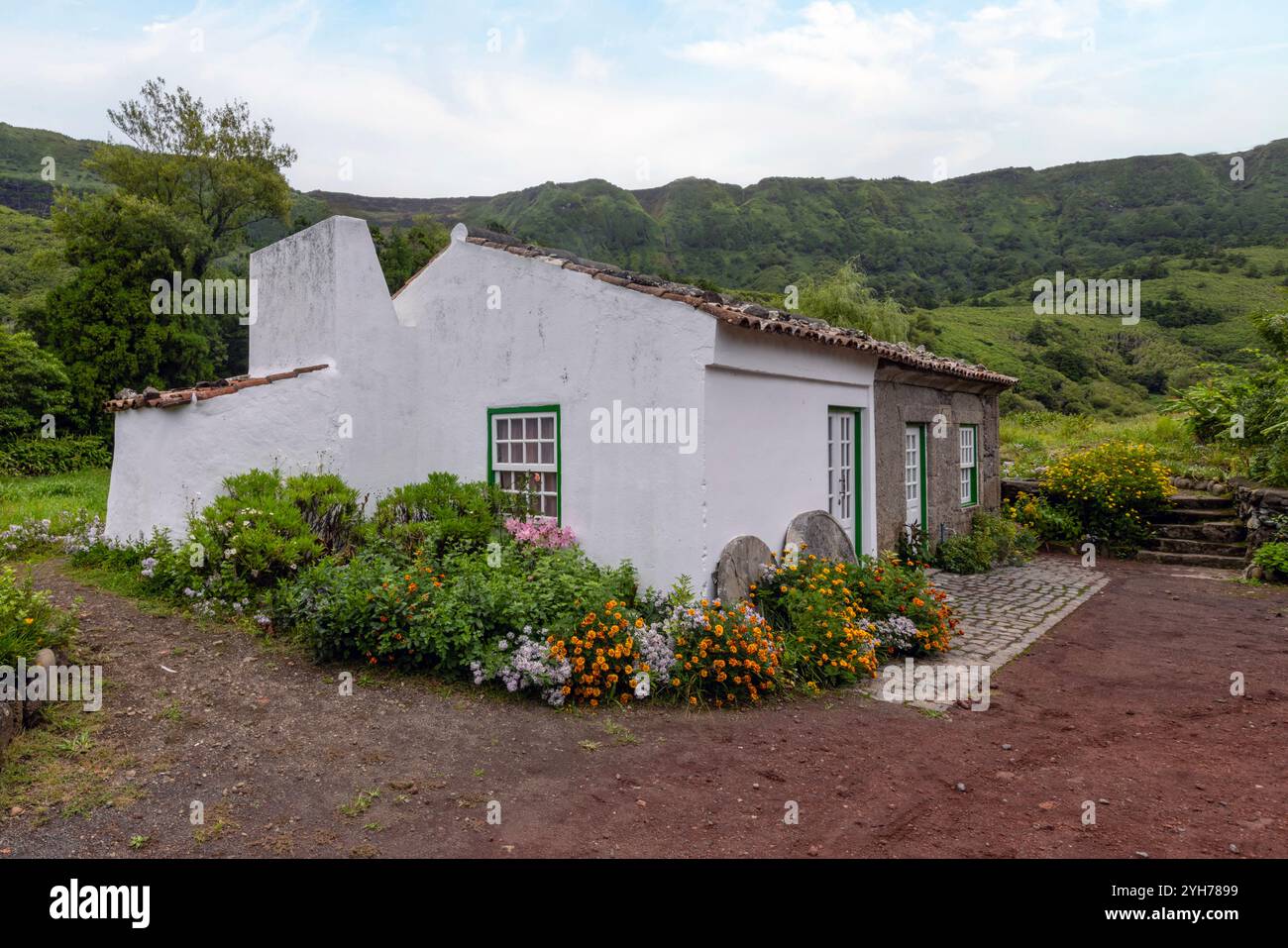 Flores de grupo hi-res stock photography and images - Alamy