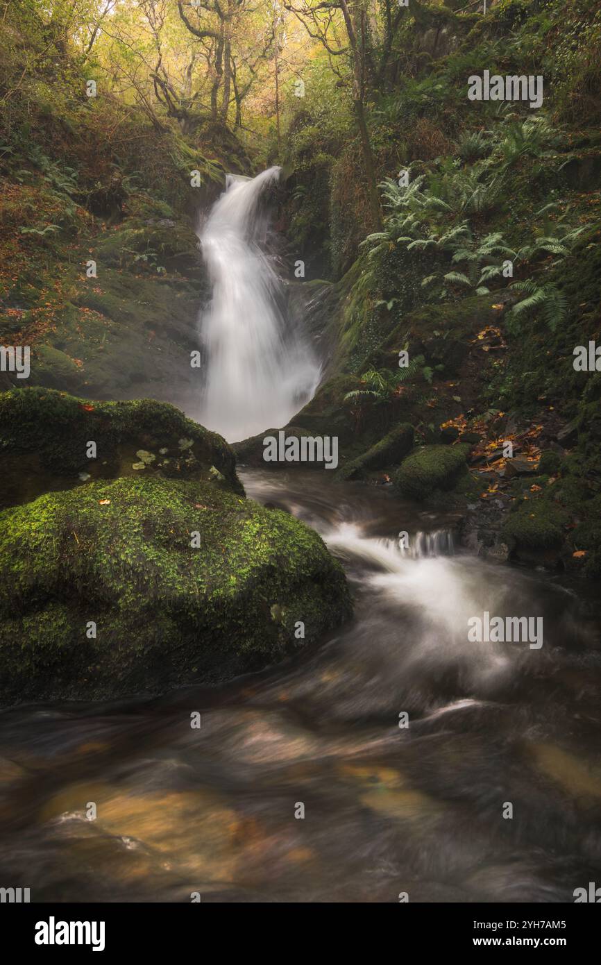 Beautiful idyllic waterfall surrounded dense hi-res stock photography ...