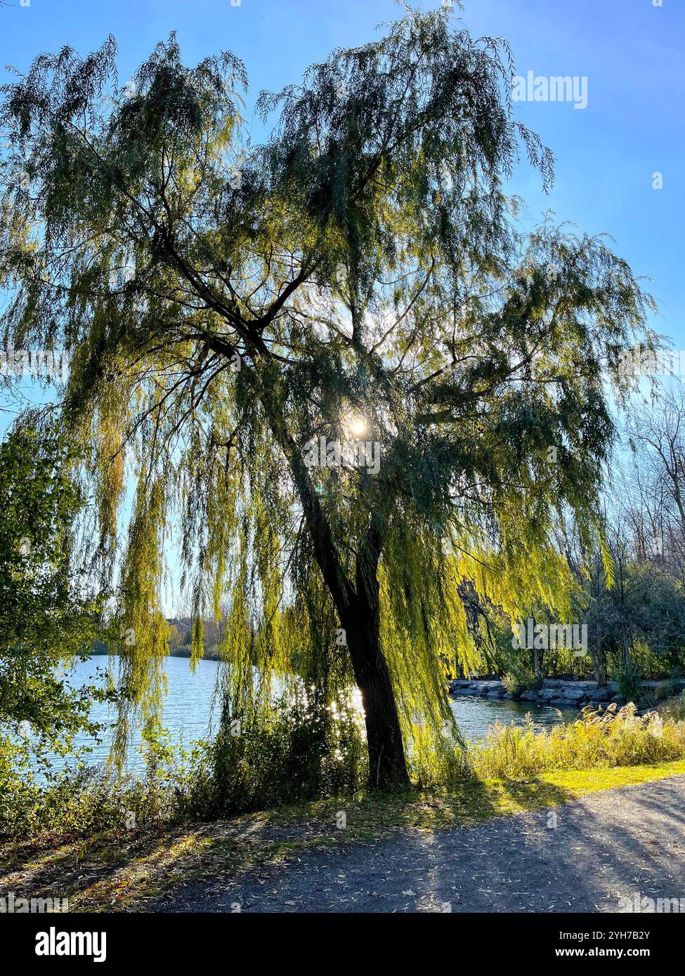 Serene lakeside scenery hi-res stock photography and images - Alamy