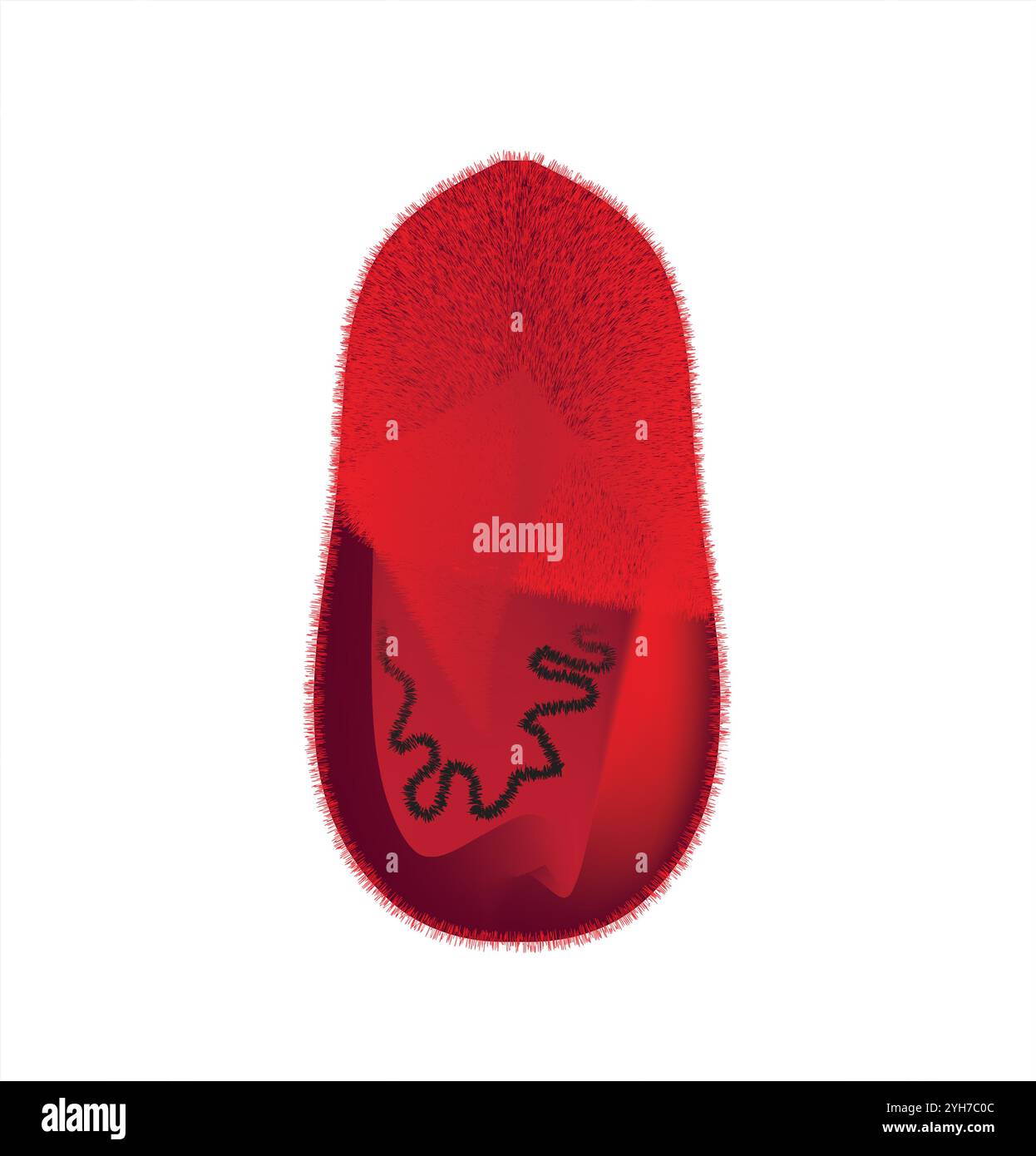 Protozoa bacteria hi-res stock photography and images - Alamy