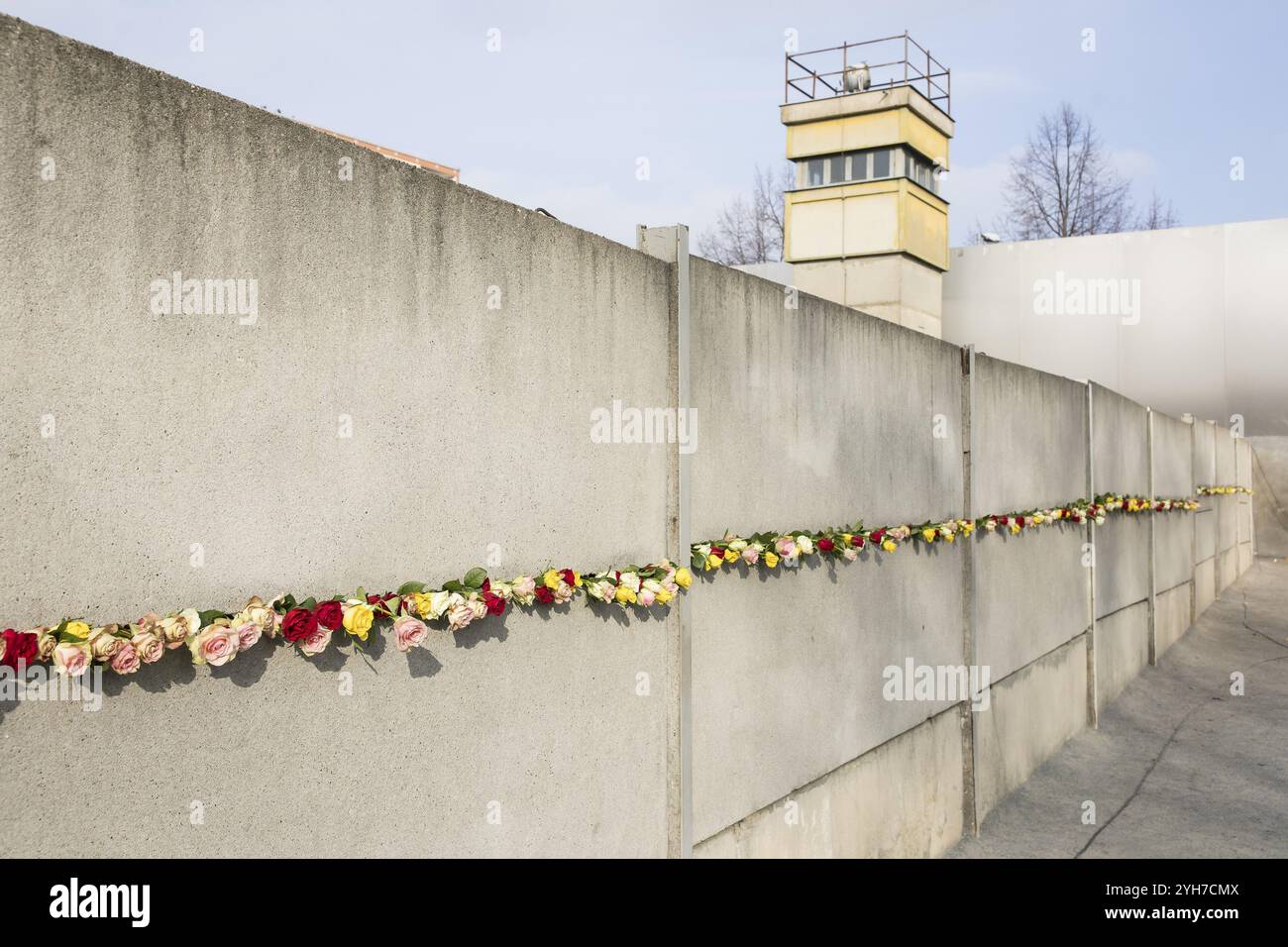 The Wall decorated with roses at the central commemorative event at the ...