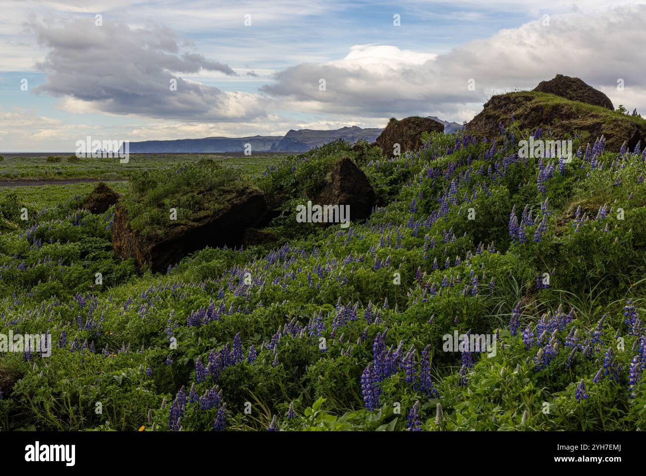Iceland yoda cave hi-res stock photography and images - Alamy