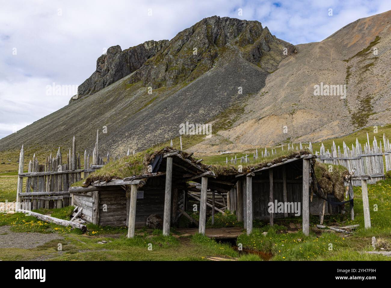 Wikinger iceland hi-res stock photography and images - Alamy