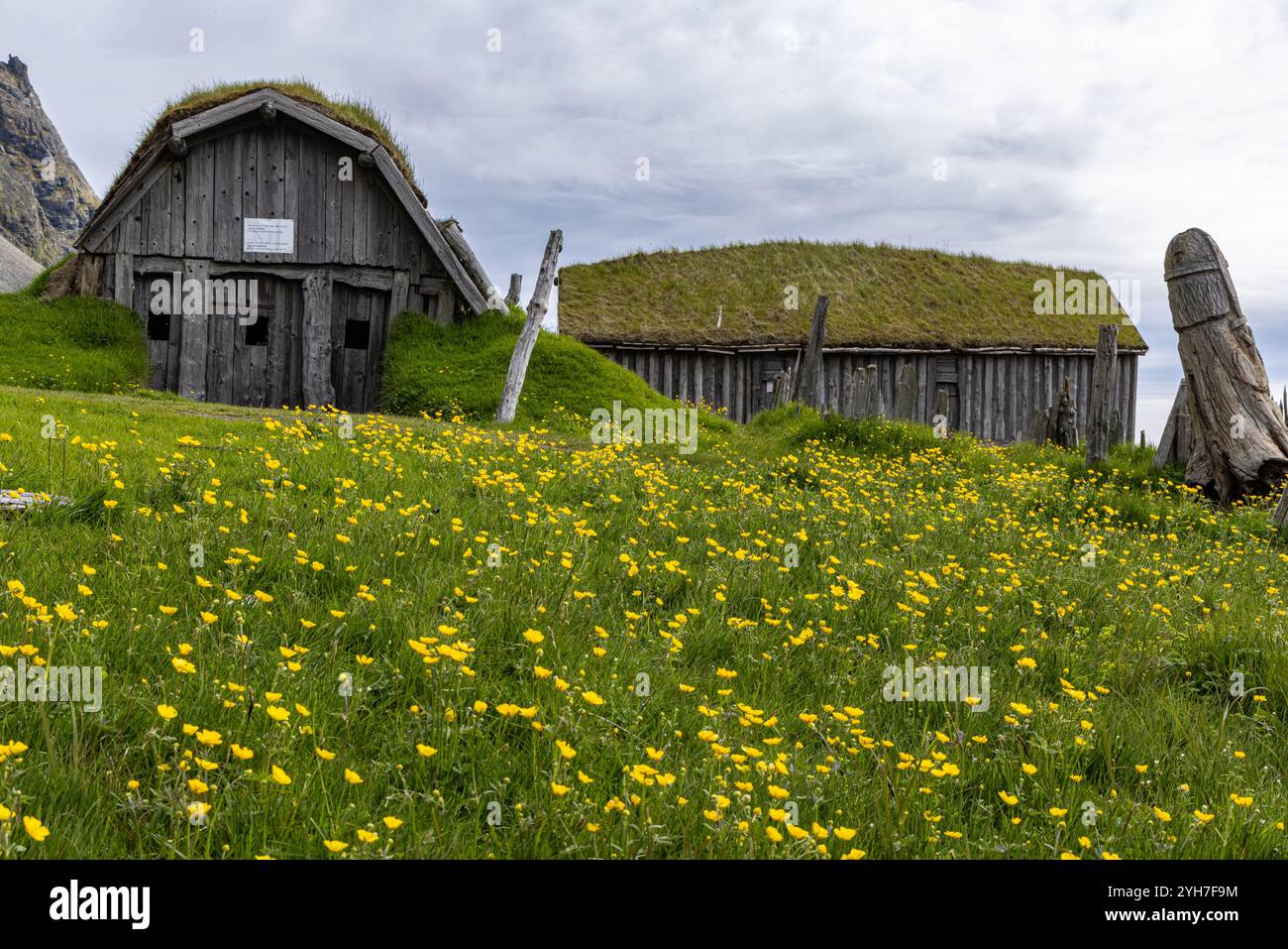 Wikinger iceland hi-res stock photography and images - Alamy
