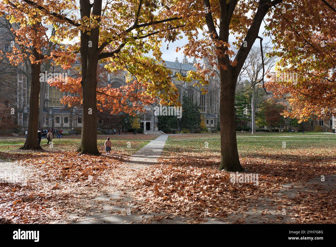 Ann arbor michigan law quad hi-res stock photography and images - Alamy