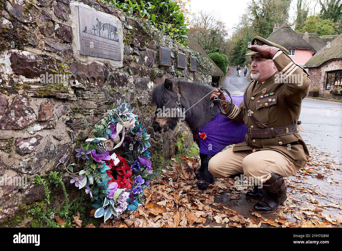 Cockington.UK, 10TH Nov 2024. Patrick the Pony observes the two minute ...