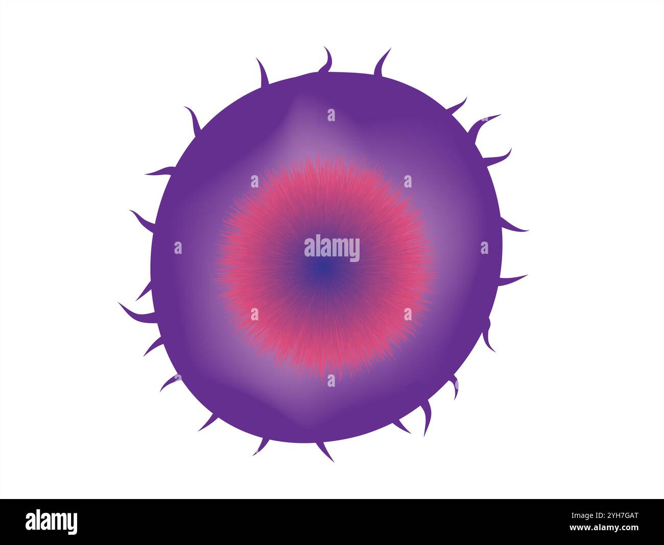 Natural cells Cut Out Stock Images & Pictures - Alamy