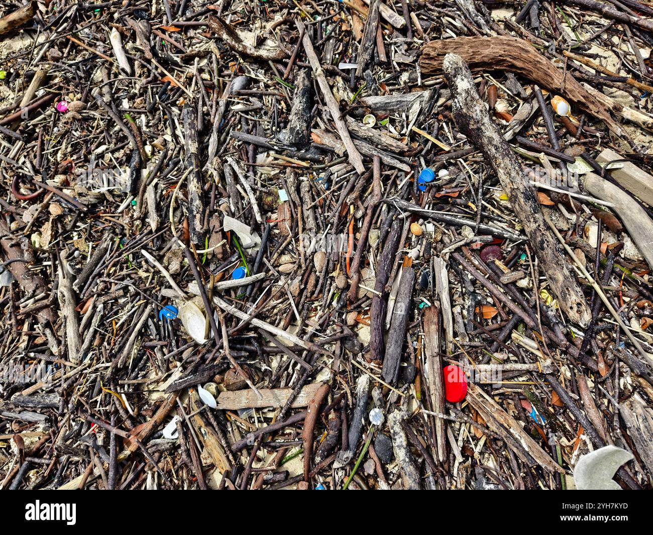 A beach heavily littered with wood and plastic Stock Photo - Alamy