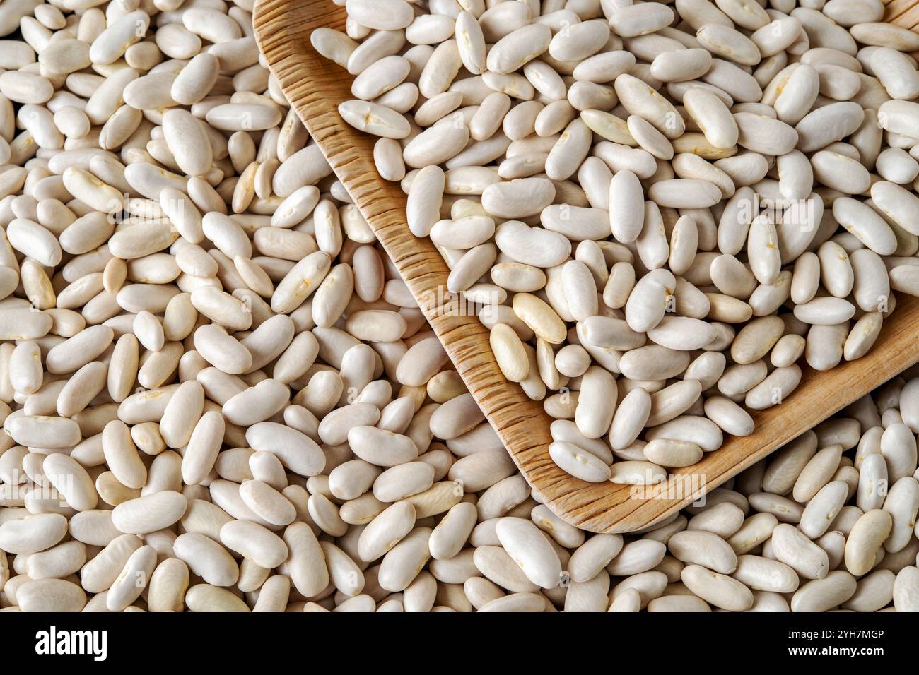 Dry white beans background. Raw kidney bean texture close-up. Plant ...