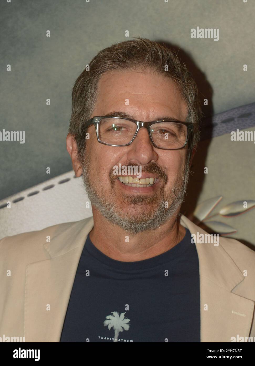 HOLLYWOOD, FLORIDA - NOVEMBER 08: Actor/ Comedian Ray Romano attends ...
