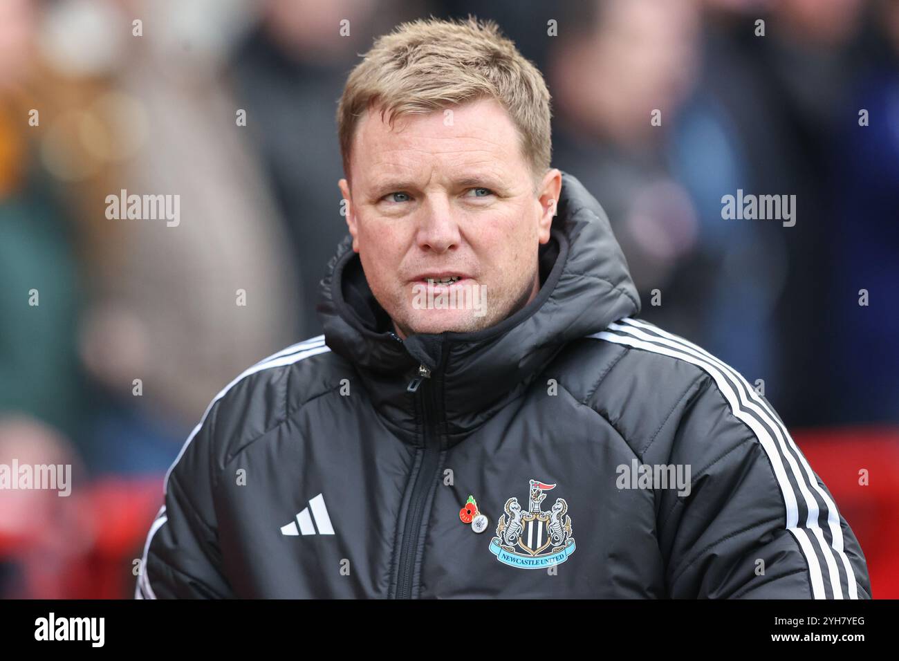 Eddie Howe manager of Newcastle during the Premier League match ...