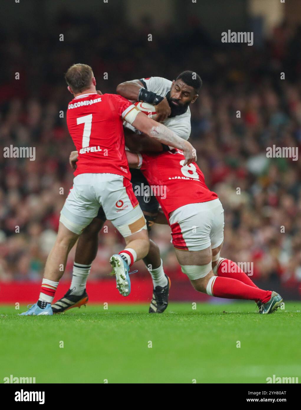 Cardiff, Wales. 10th November 2024; Principality Stadium, Cardiff ...