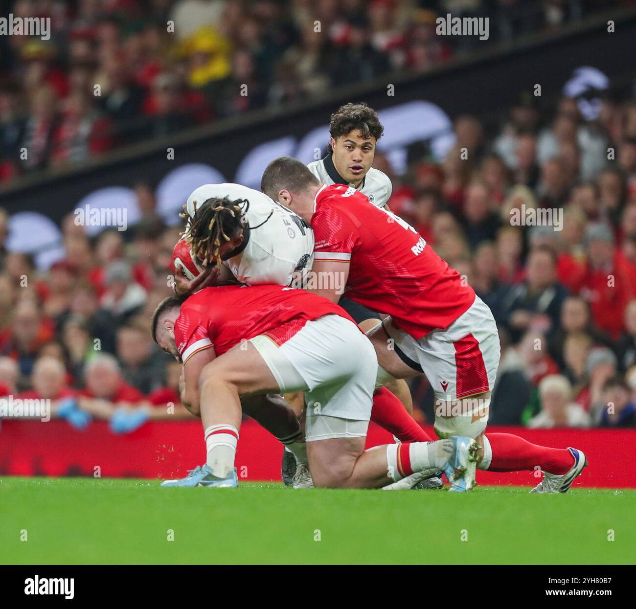 10th November 2024; Principality Stadium, Cardiff, Wales: Autumn Rugby ...