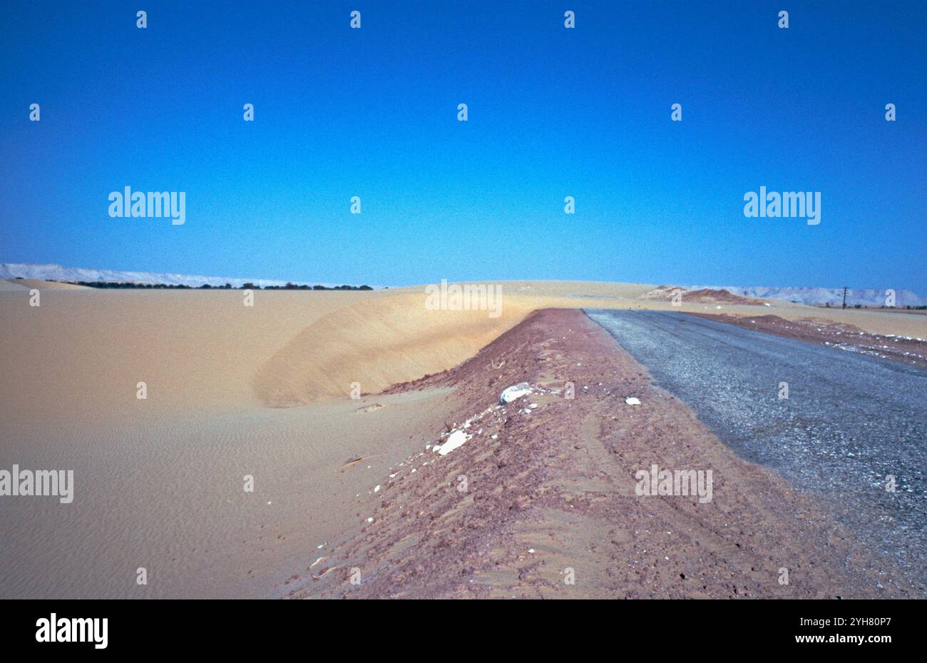Road blocked by barchan, Dakhla Oasis, Libyan Desert, Egypt, September ...