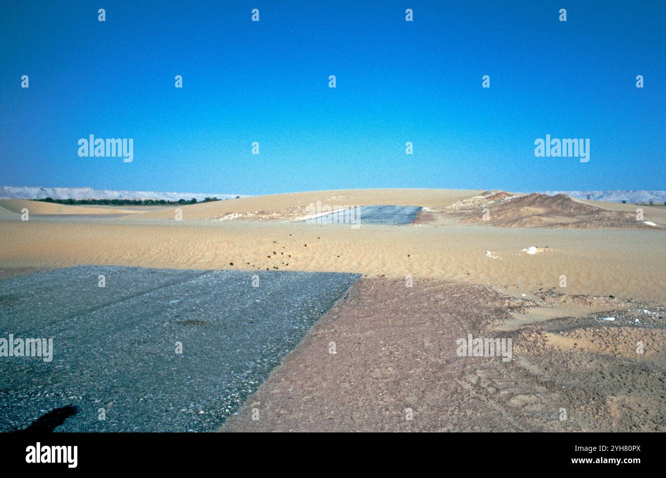 Road blocked by barchan, Dakhla Oasis, Libyan Desert, Egypt, September ...