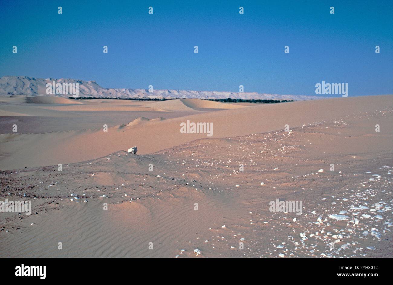 Barchans in front of Dakhla Oasis, Libyan Desert, Egypt, September 1989 ...