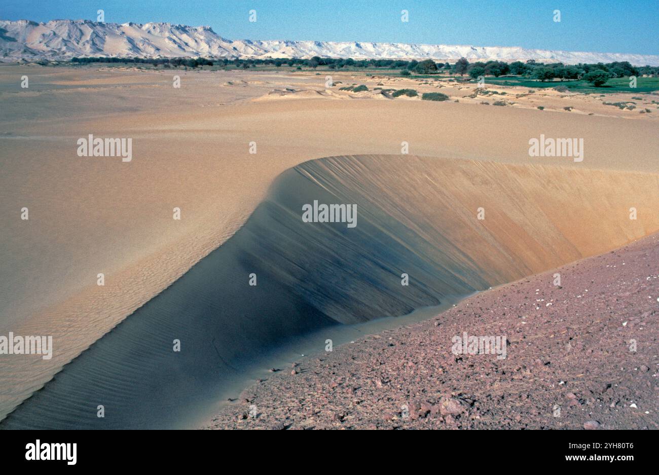 Barchans in front of Dakhla Oasis, Libyan Desert, Egypt, September 1989 ...