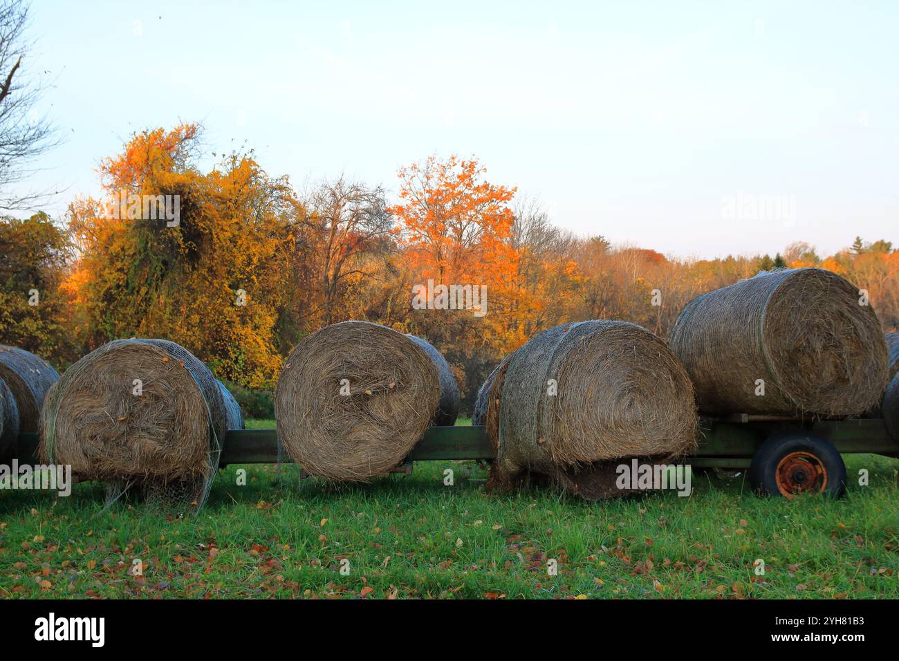 Harvest colors hi-res stock photography and images - Alamy