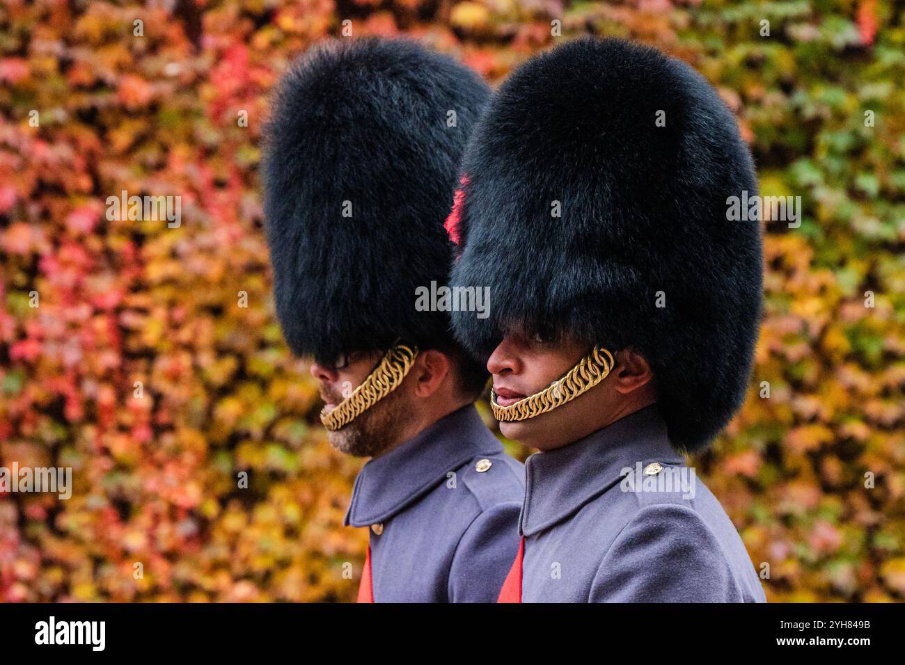 London, UK. 10th Nov, 2024. Veterans leave past the autumn colours on the admiralty bunker - The ...