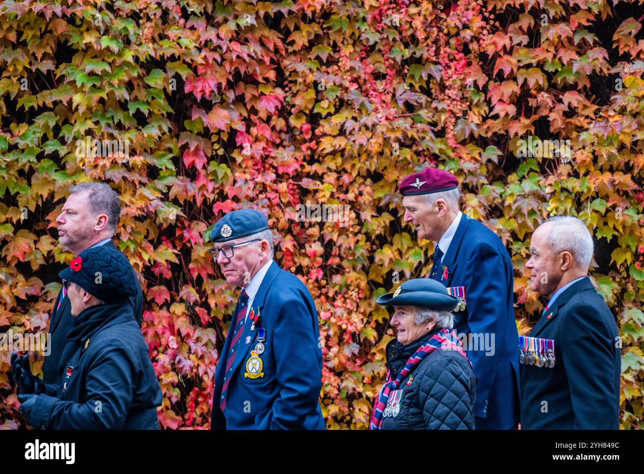 London, UK. 10th Nov, 2024. Veterans leave past the autumn colours on ...