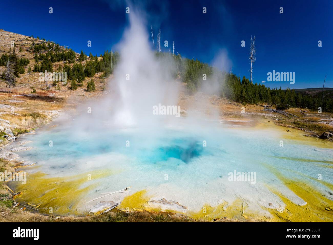 Imperial Geyser shooting water into the air during an eruption ...