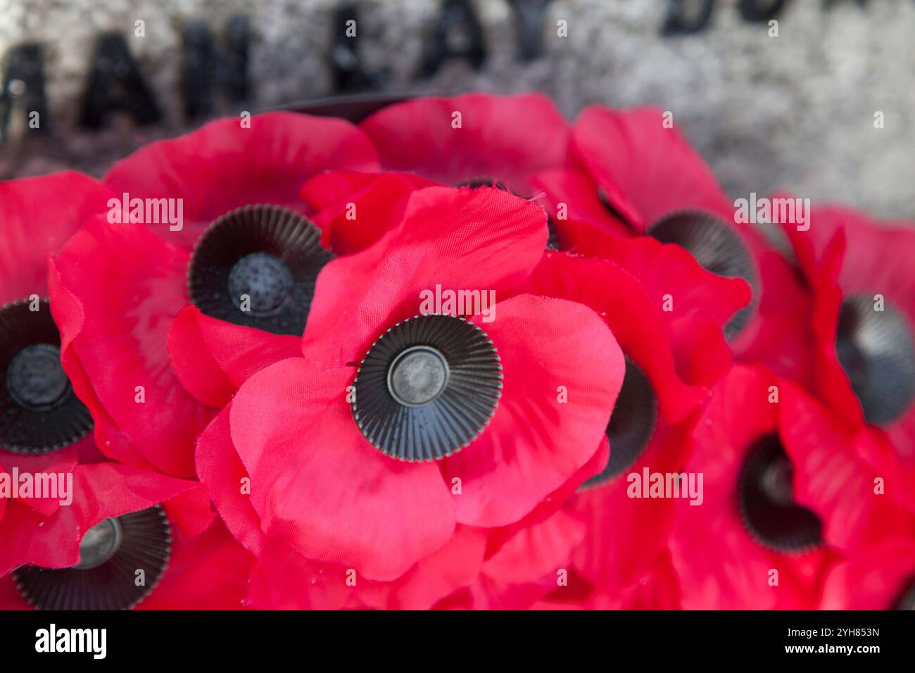 Red poppy wreaths for Remembrance Sunday, Rhu, Scotland Stock Photo - Alamy