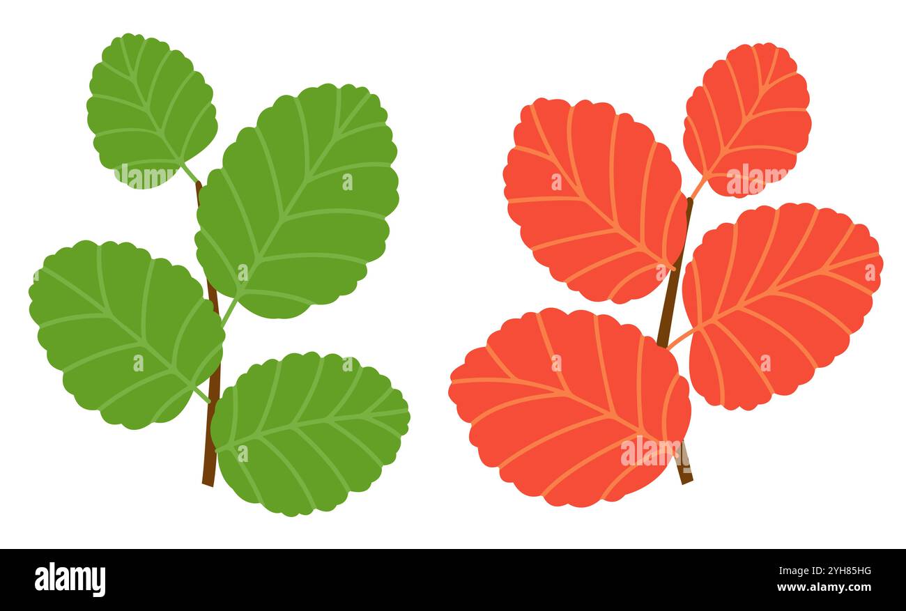Flora tierra Stock Vector Images - Alamy