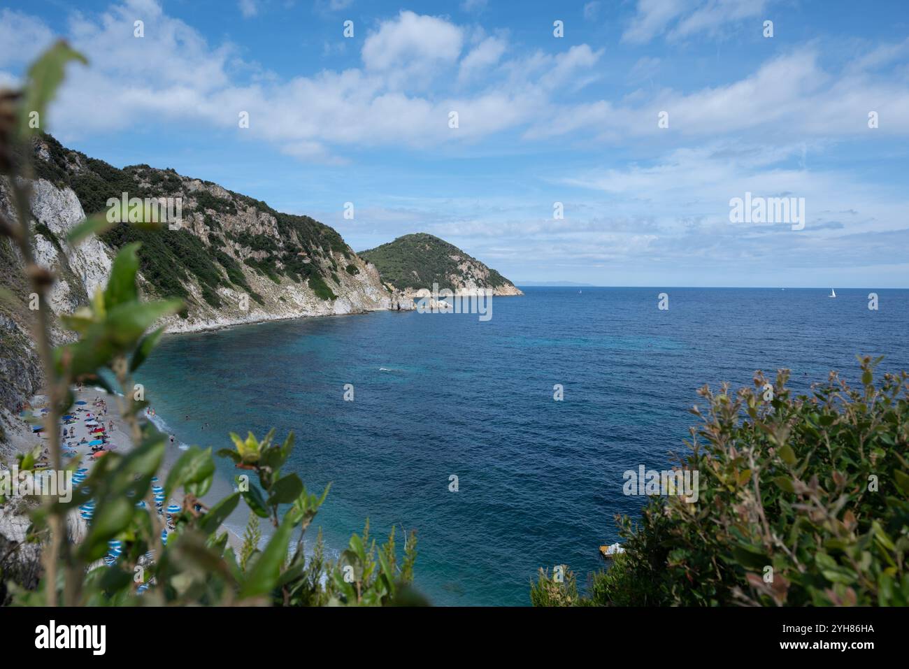 A spectacular view of Sansone beach at the Elba island in summer, with ...