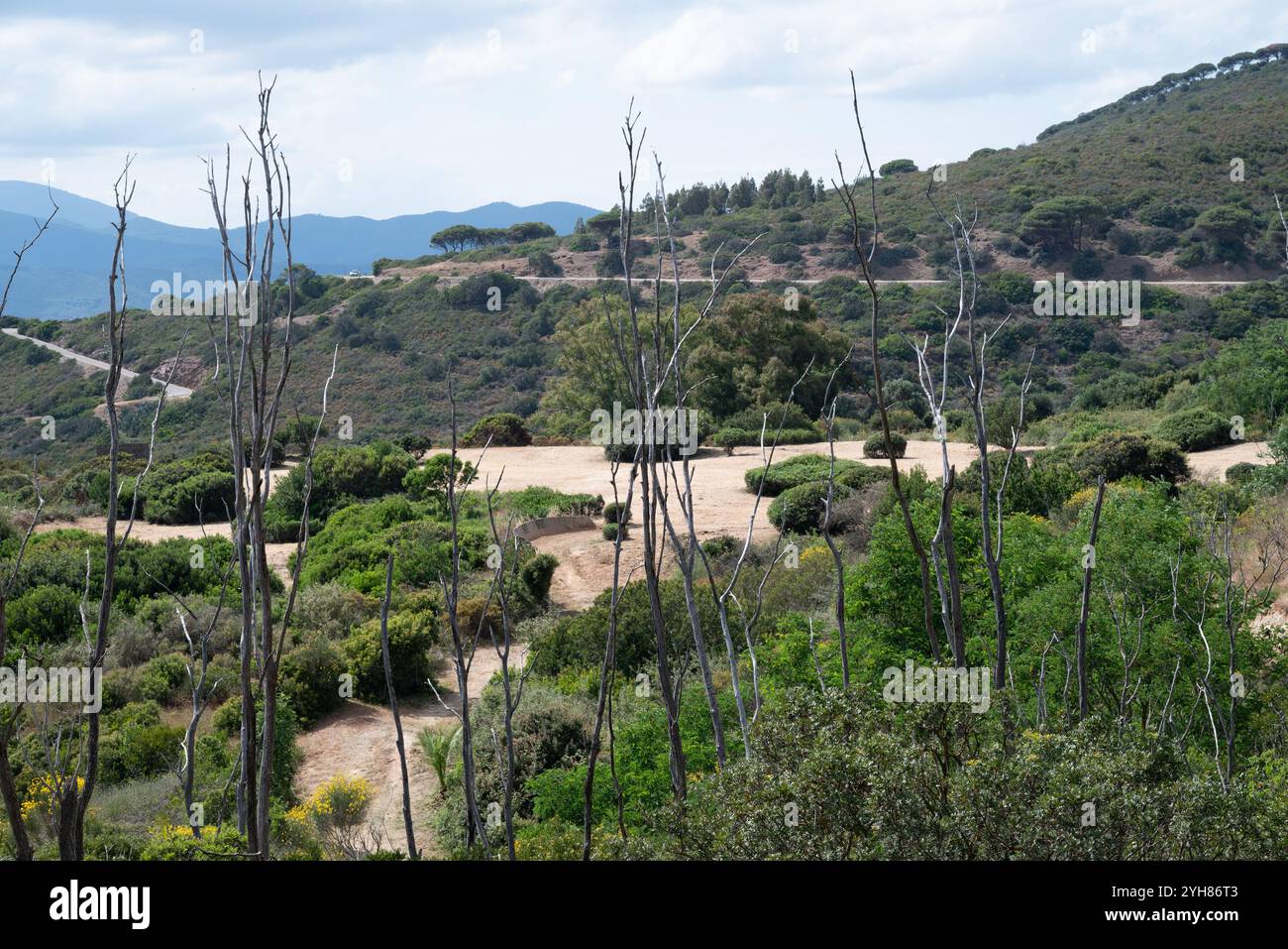 The landscape of cape cod in Capoliveri, with the famous iron mines of ...